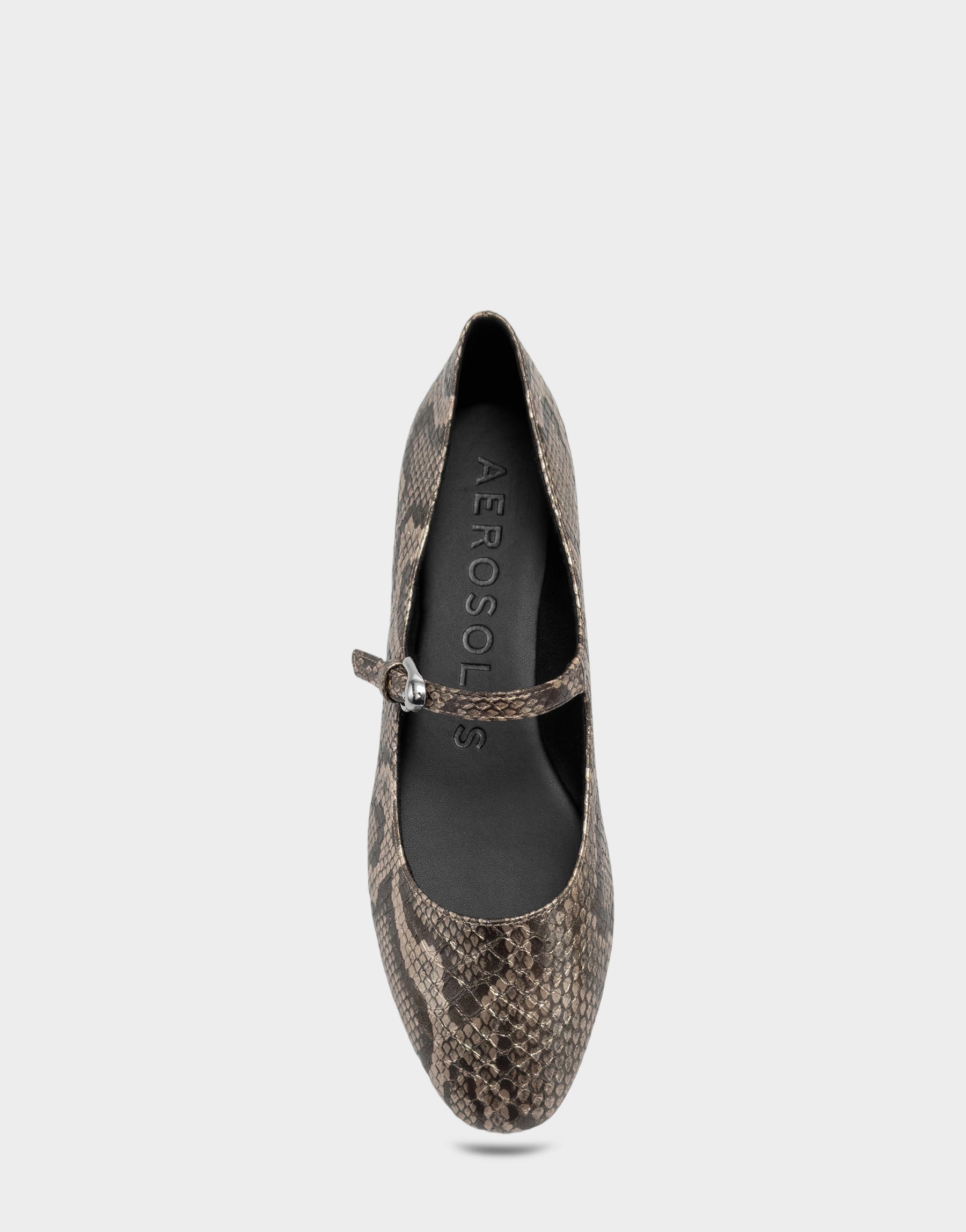 Women's Casual Flat in Champagne Metallic Snake Print – Aerosoles